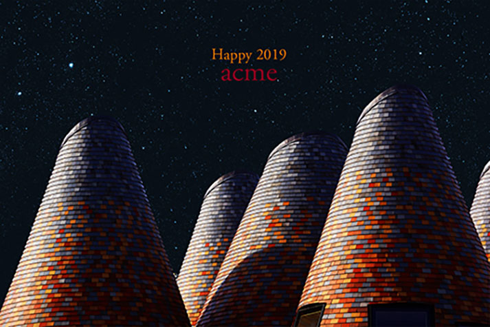 HAPPY 2019 – acme