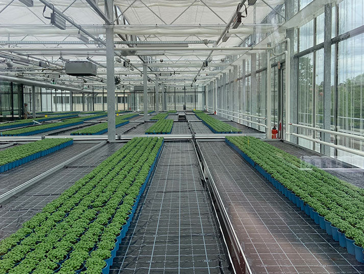 REWE MARKET OF THE FUTURE ON SITE – acme